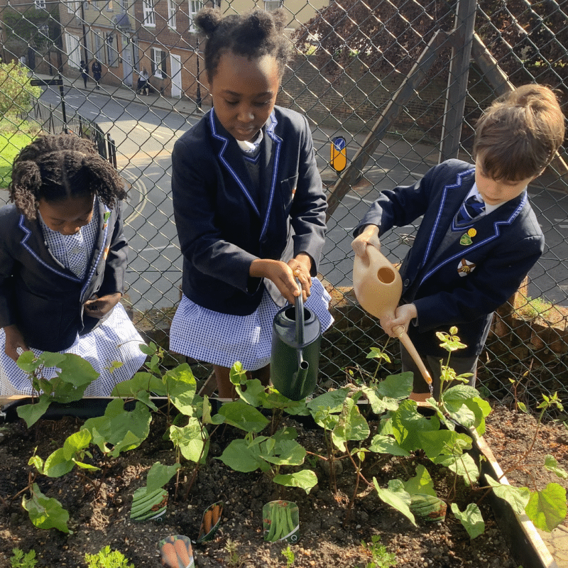 Pre-Prep Playground Allotment | King's School Rochester